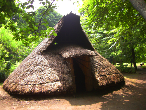 Poveste de la inceputul timpului